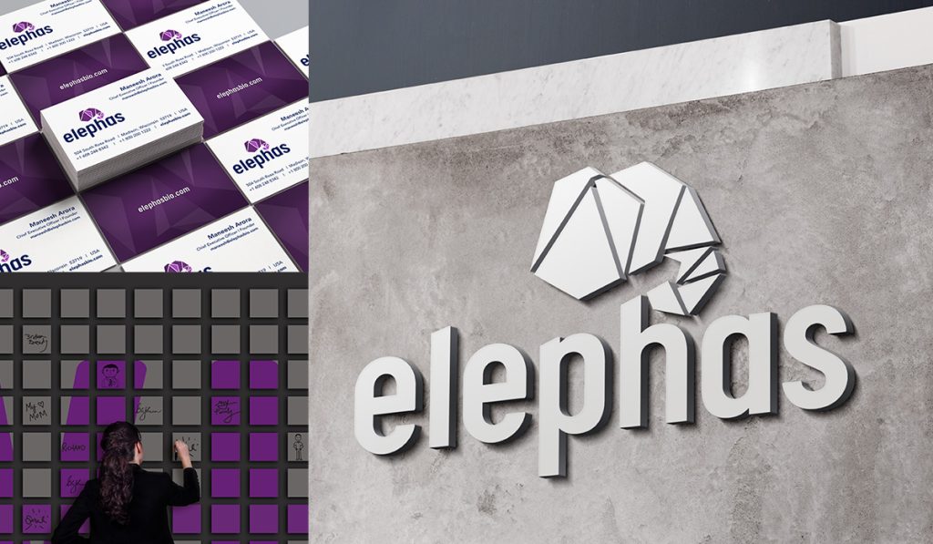 ZEBRADOG Brand Identity & Wayfinding Examples